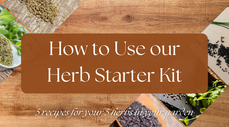 How To Use Our Herb Starter Kit – Live Long And Plant