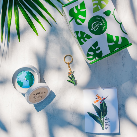 Aloha Bird of Paradise Gift Box – Live Long And Plant