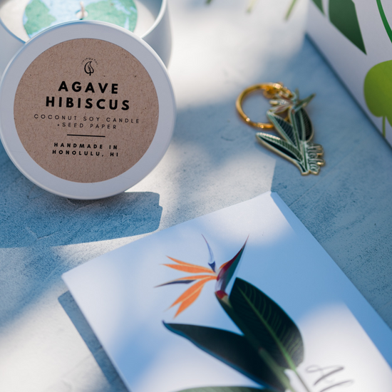 Aloha Bird of Paradise Gift Box – Live Long And Plant