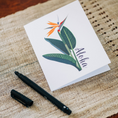 Aloha Bird of Paradise Gift Box – Live Long And Plant