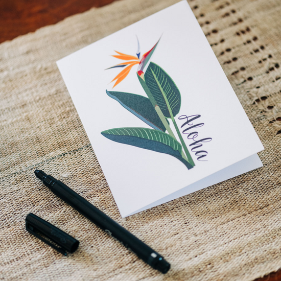 Aloha Bird of Paradise Gift Box – Live Long And Plant