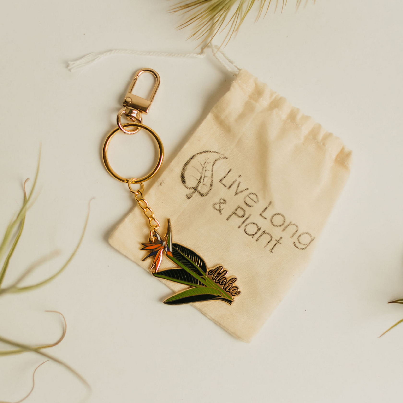 Aloha Bird of Paradise Gift Box – Live Long And Plant