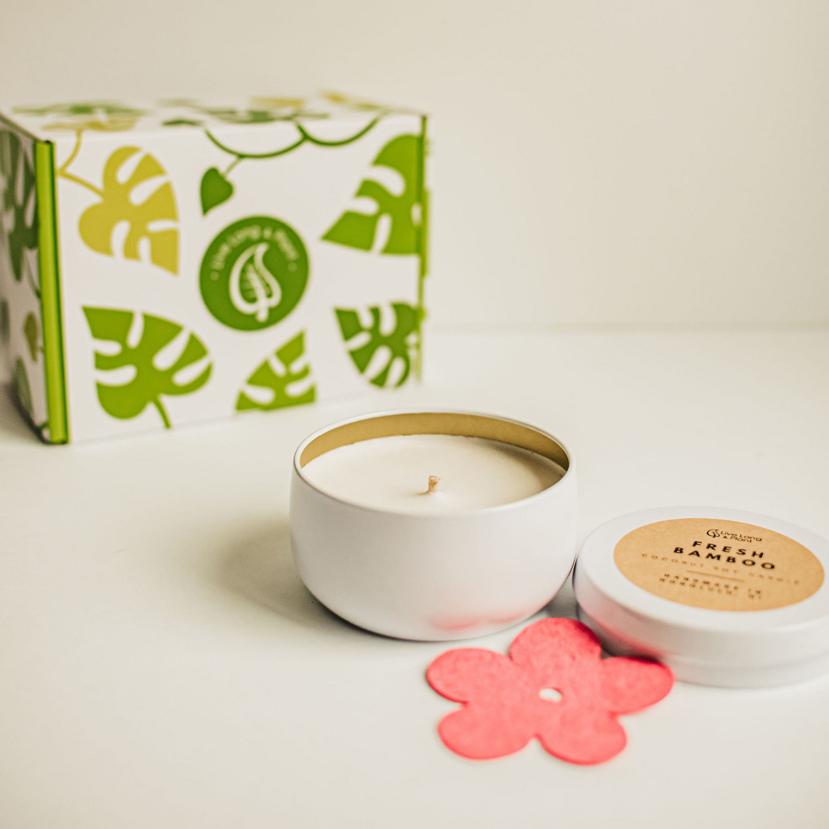 Aloha Bird of Paradise Gift Box – Live Long And Plant