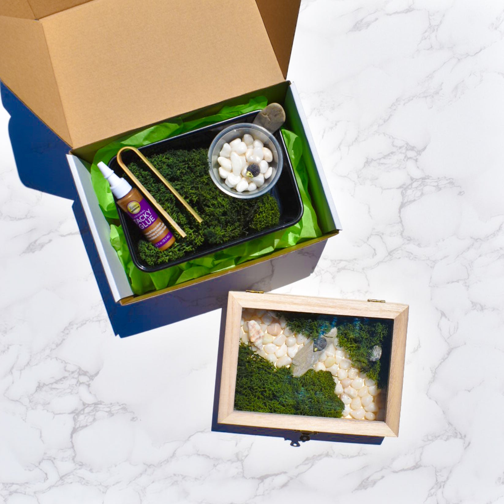 DIY Preserved Moss Wall Art Kit, Rocky Riverway – Live Long And Plant