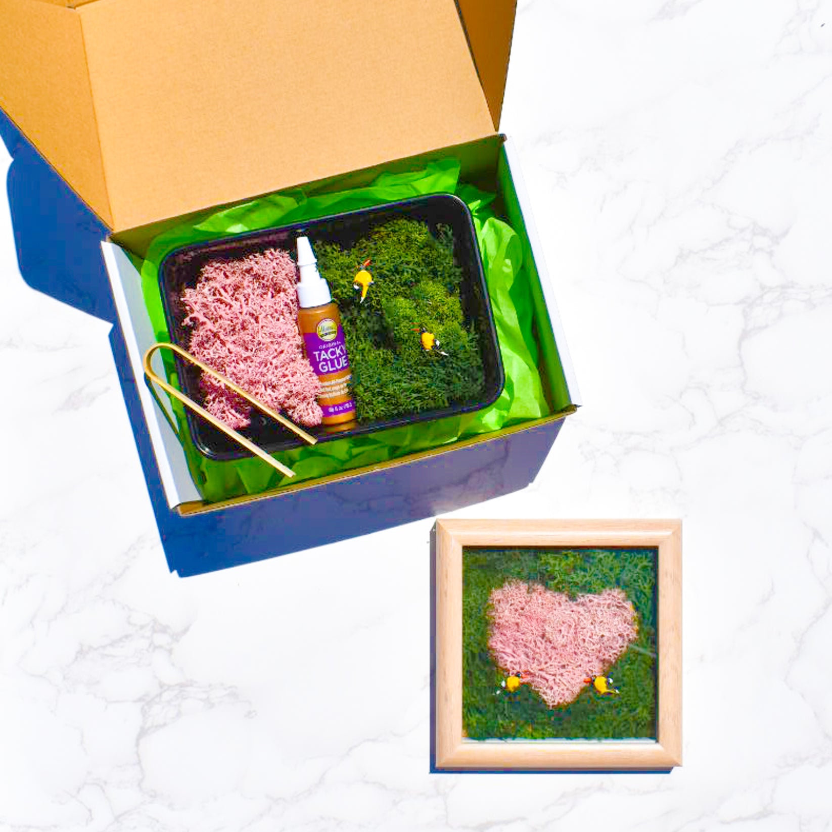 DIY Preserved Moss Wall Art Kit, Pink Heart – Live Long And Plant