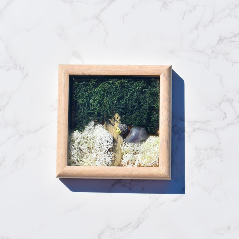 DIY Preserved Moss Wall Art Kit, Mossy Tree – Live Long And Plant