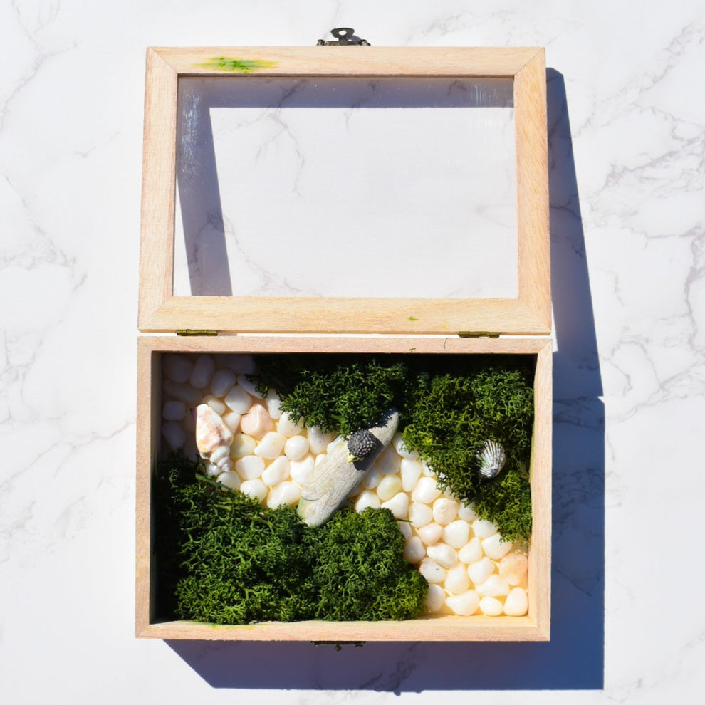 DIY Preserved Moss Wall Art Kit, Rocky Riverway – Live Long And Plant